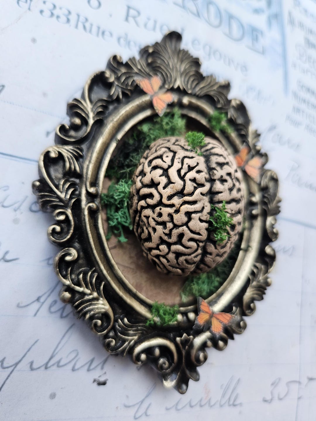 Framed Human Brain Art: Gothic Macabre Oddity Plaque - Etsy