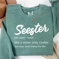 Seester Noun Shirt, Seester Definition T-shirt, Gift for Sister, Best ...
