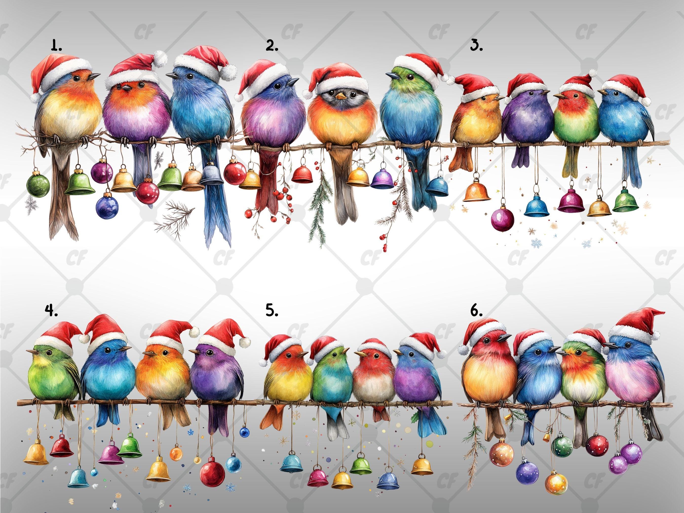 Christmas Birds Clipart PNG Bundle, Commercial Use,watercolor Winter ...