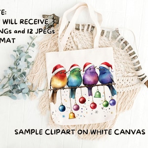 12 PNG Christmas Birds Clipart Bundle, Commercial Use,watercolor Winter ...