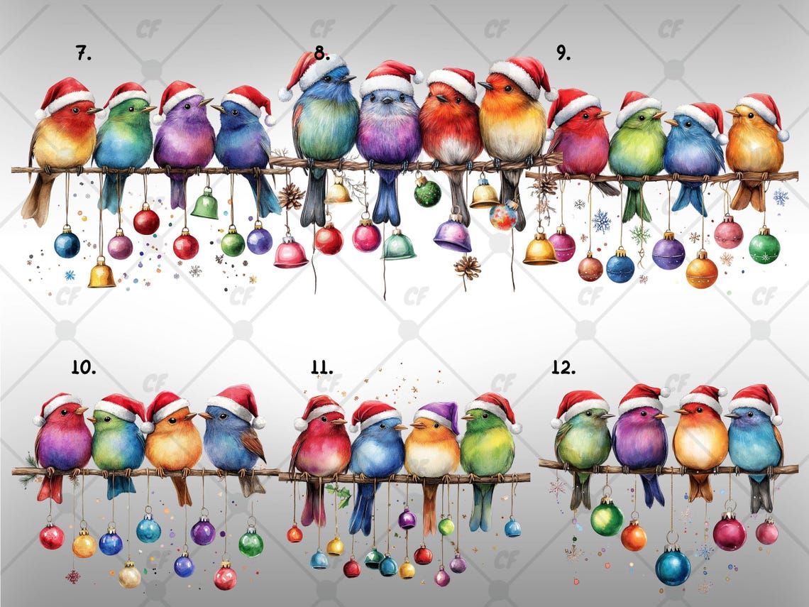 Christmas Birds Clipart PNG Bundle, Commercial Use,watercolor Winter ...