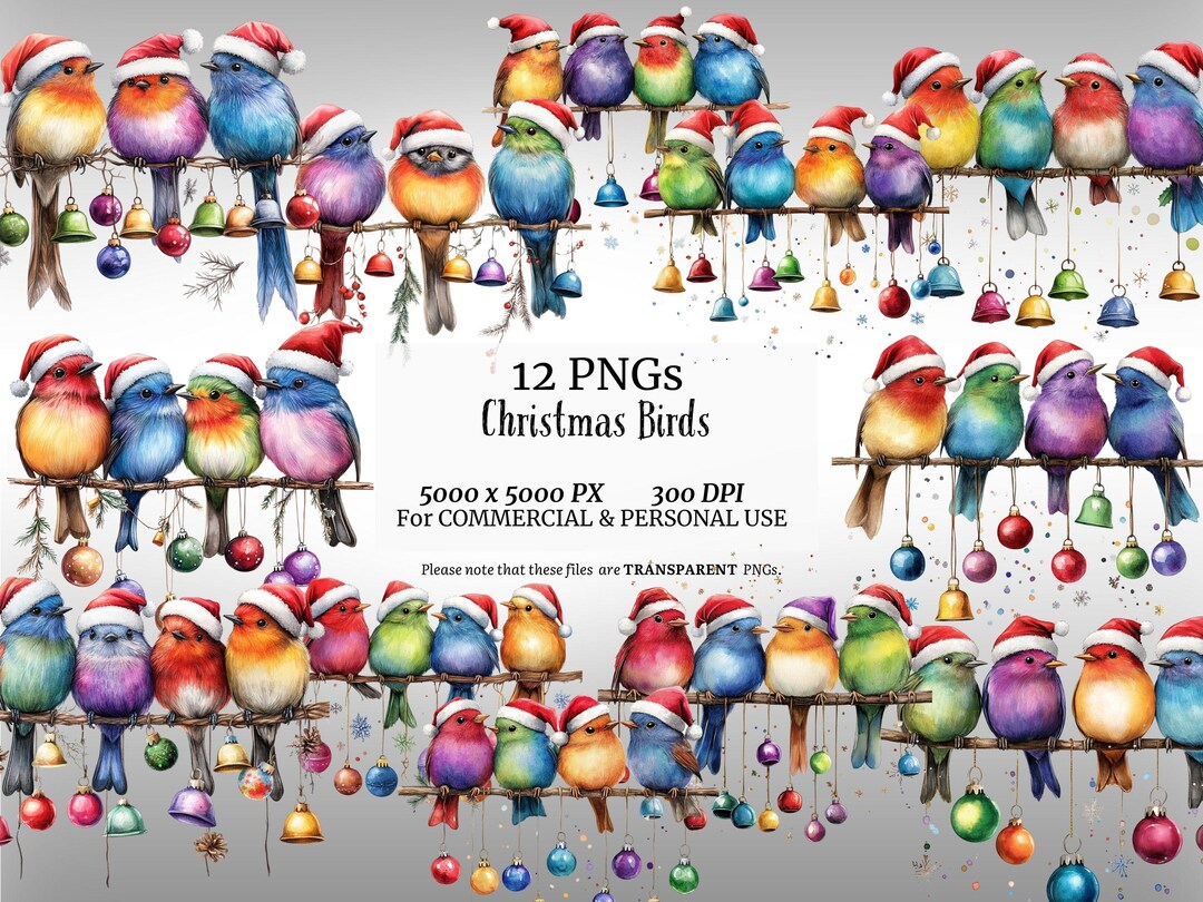 12 PNG Christmas Birds Clipart Bundle, Commercial Use,watercolor Winter ...