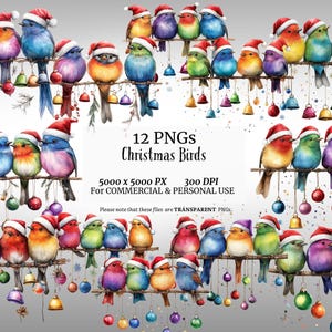 12 PNG Christmas Birds Clipart Bundle, Commercial Use,watercolor Winter ...