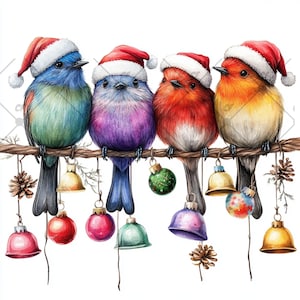 12 PNG Christmas Birds Clipart Bundle, Commercial Use,watercolor Winter ...