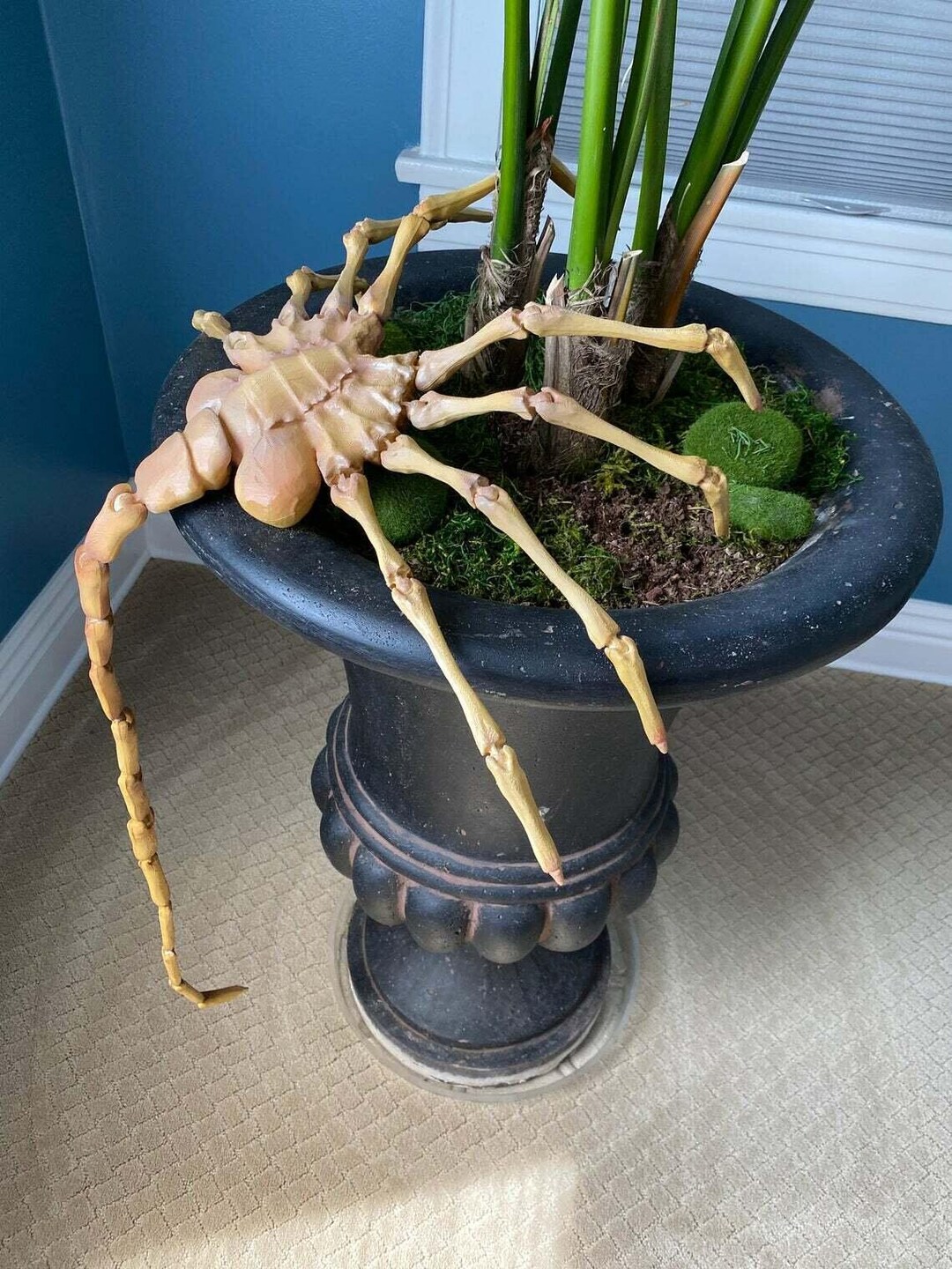 Ultimate Alien Face Hugger Lifesize From Alien Replica Prop 1:1 Scale ...