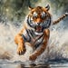 Tiger Running Across a River Which Could Watercolour Paint Art Vector ...
