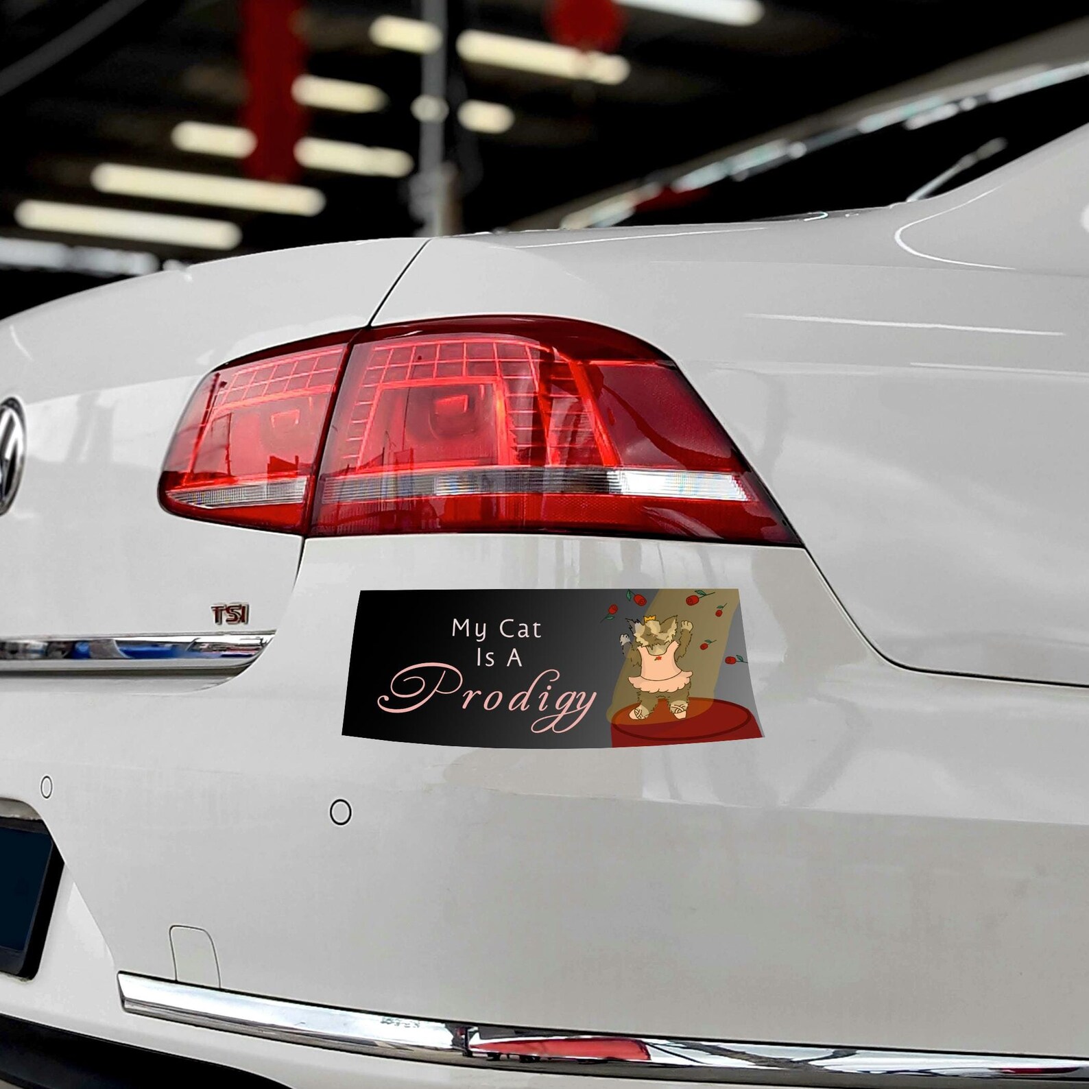 My Cat is A Prodigy Funny Cute Pet Lover Bumper Sticker - Water and ...