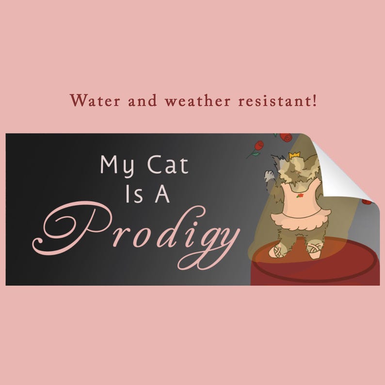 My Cat is A Prodigy Funny Cute Pet Lover Bumper Sticker - Water and ...
