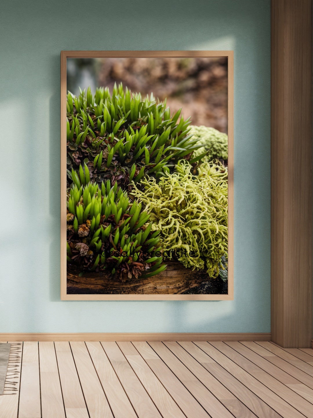 Green Tufted Moss, Yellow Fuzzy Moss, and Brown Wrinkled Moss With ...