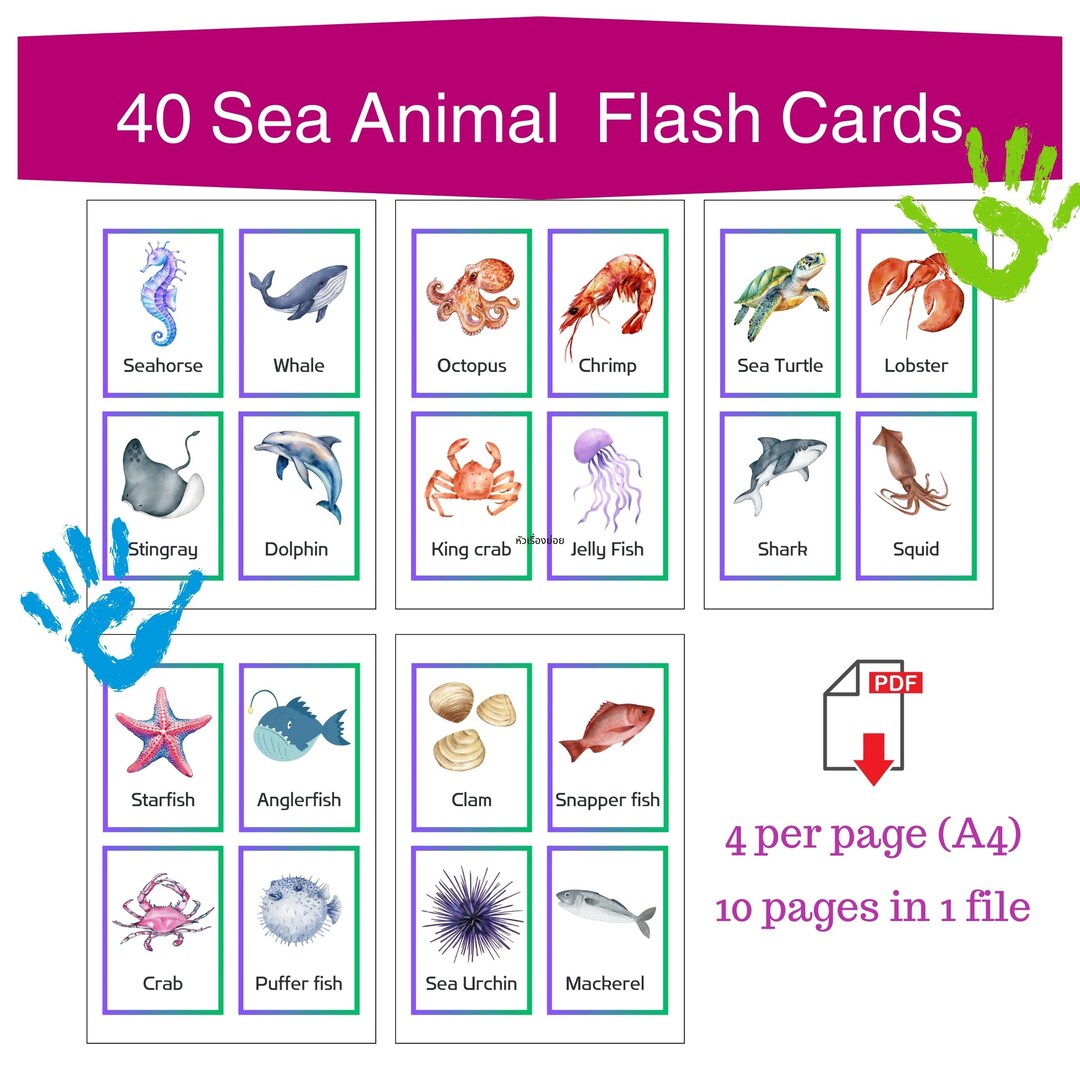 40 Sea Animal Flash Cards, Printable Flashcards, Preschool ...