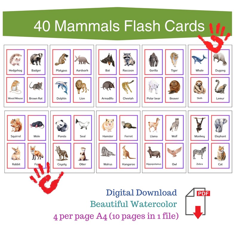 40 Mammals Flashcards, Watercolor, Animal Flashcards, PDF File. - Etsy