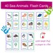 40 Sea Animal Flash Cards, Printable Flashcards, Preschool ...