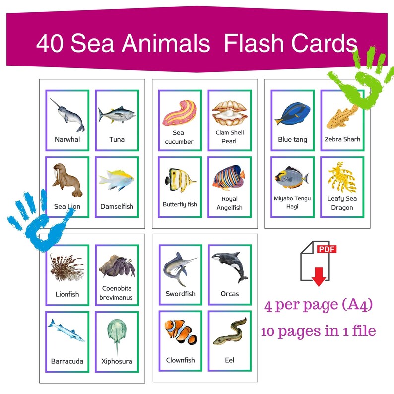 40 Sea Animal Flash Cards, Printable Flashcards, Preschool ...