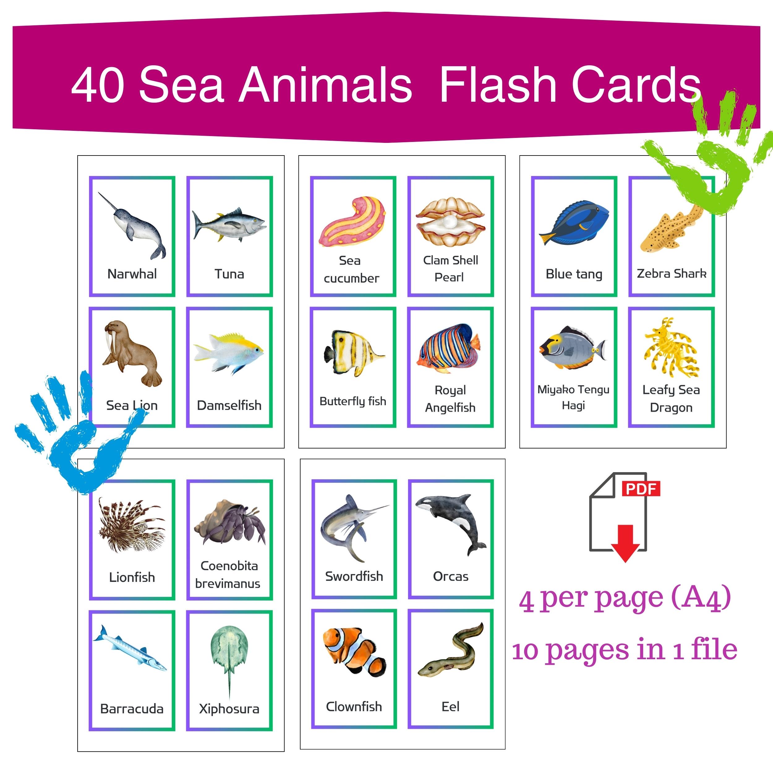 40 Sea Animal Flash Cards, Printable Flashcards, Preschool ...