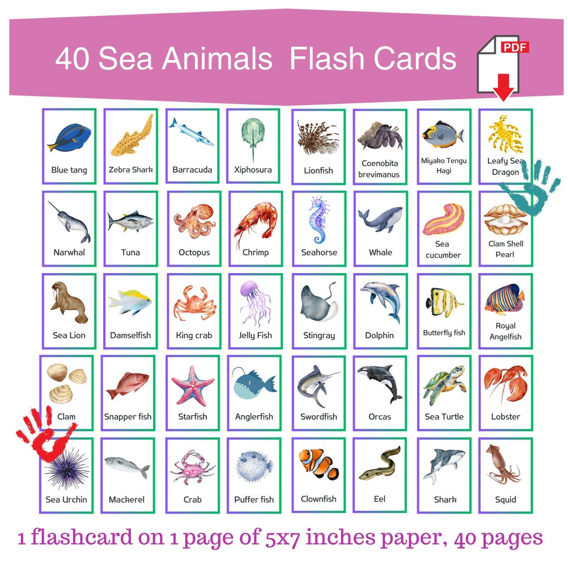 40 Sea Animal Flash Cards, Printable Flashcards, Preschool ...