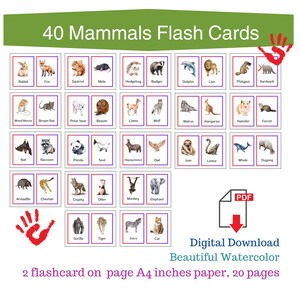 40 Mammals Flashcards, Watercolor, Animal Flashcards, PDF File. - Etsy