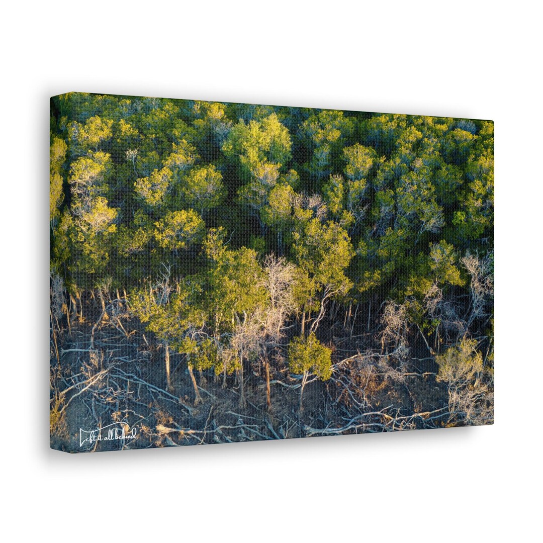 Mangroves Wall Art for Nature Enthusiasts, Landscape Decor, Coastal ...