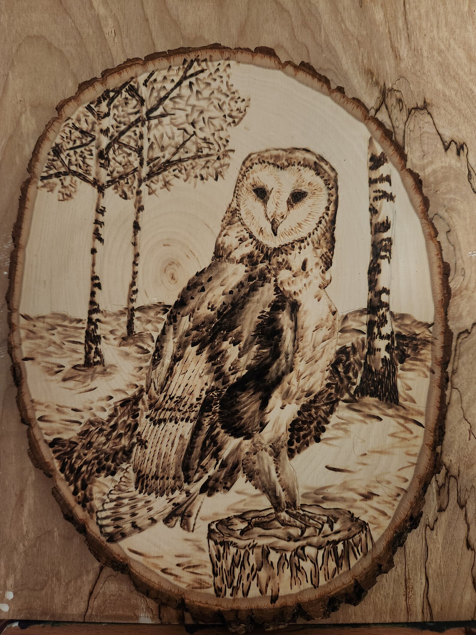 Barn Owl, Owl, Wood Burn Art, Landscape, Trees, Oval Wood Burn Art ...
