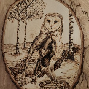Barn Owl, Owl, Wood Burn Art, Landscape, Trees, Oval Wood Burn Art ...