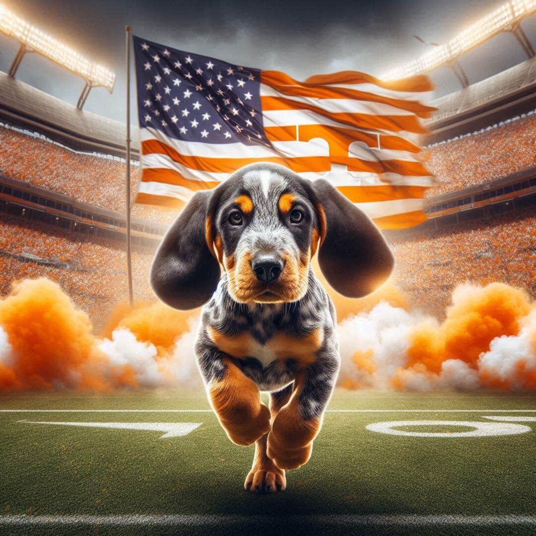 Tennessee Smokey With American Flag - Etsy