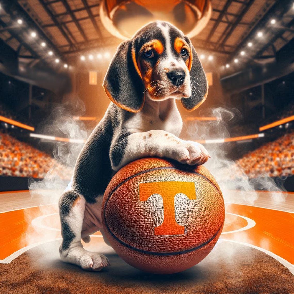 UT Basketball Smokey - Etsy