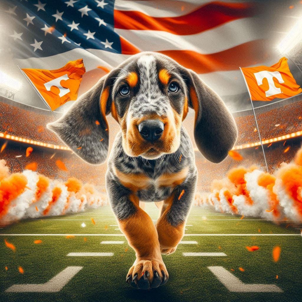 Tennessee Smokey With American Flag - Etsy