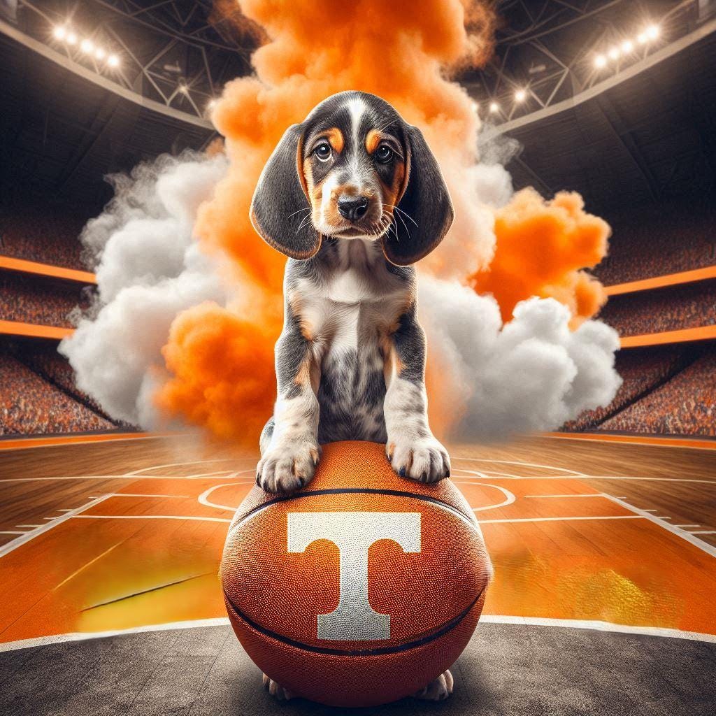 UT Basketball Smokey - Etsy