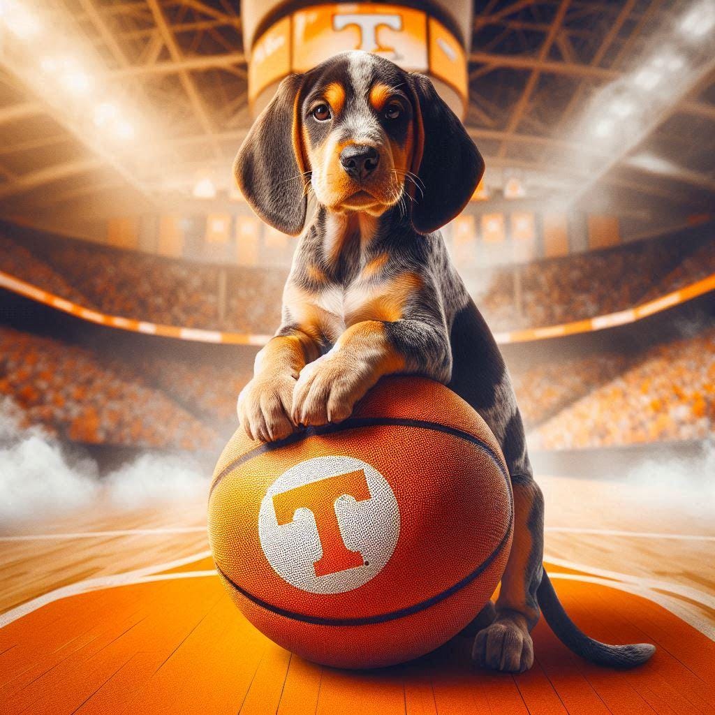 UT Basketball Smokey - Etsy