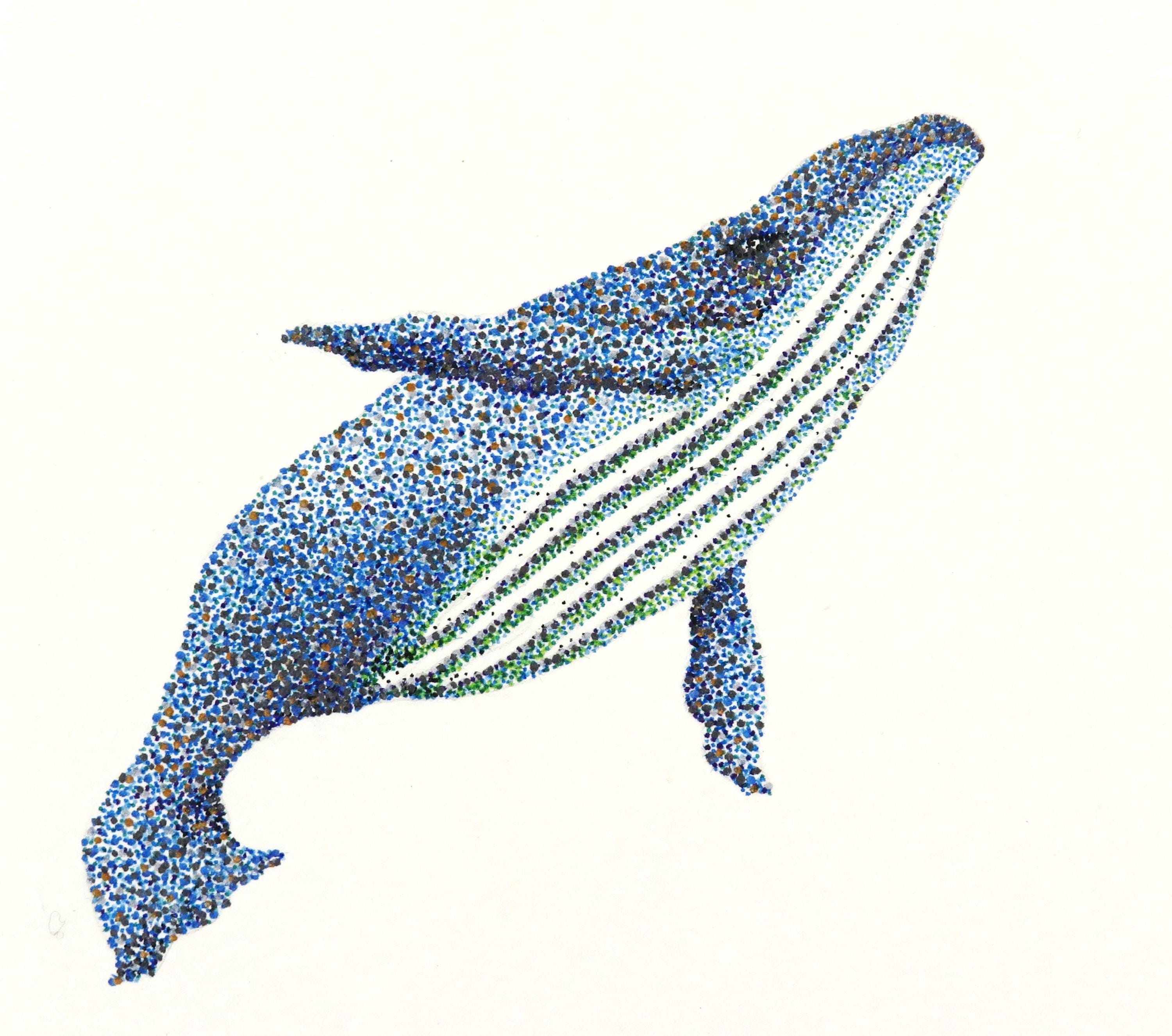 Color Print of Dot Drawing. Whale - Etsy