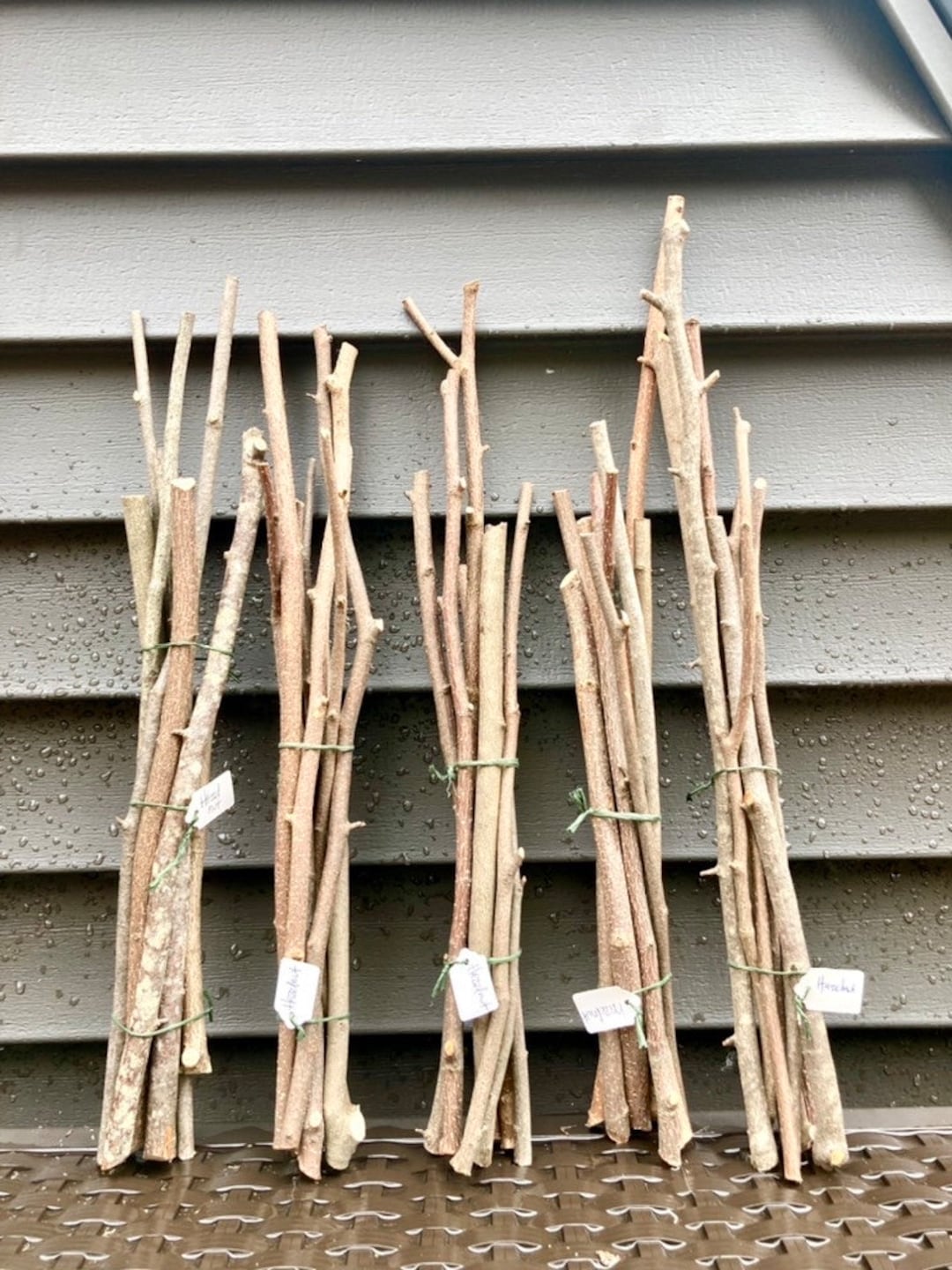 8 Hazelnut Wood Sticks - Etsy