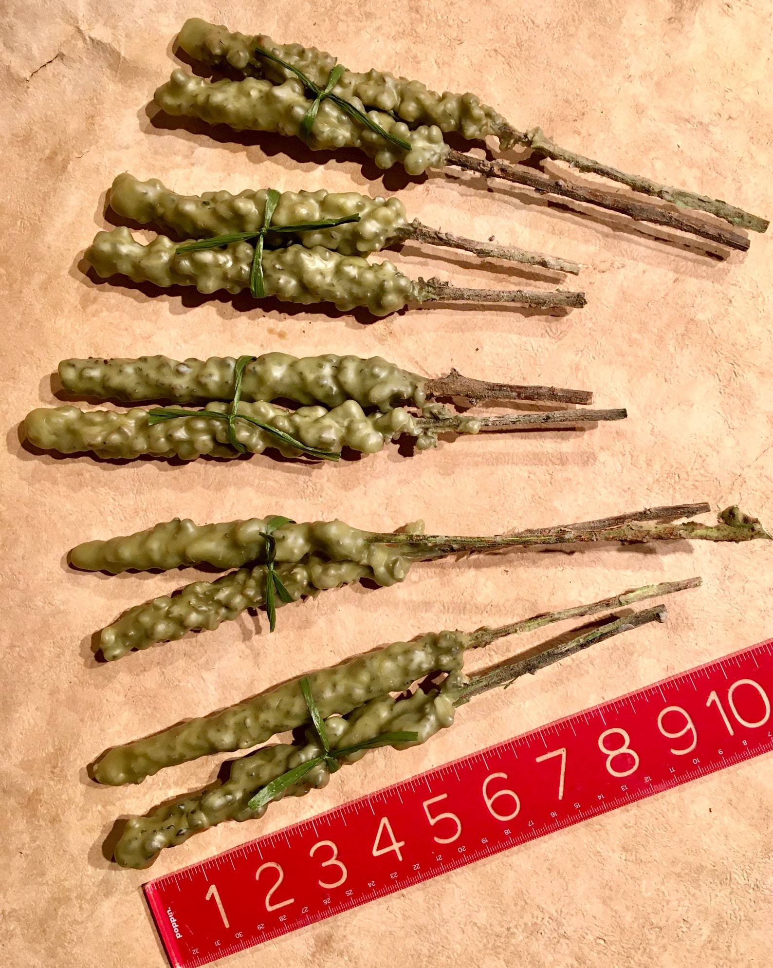 Mullein Witches Candle, Bayberry Ceremonial Candles - Etsy