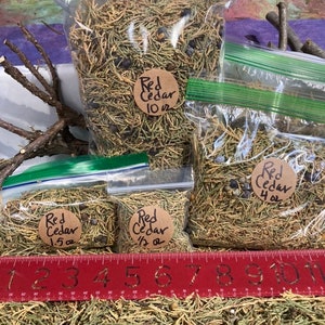 Dried Eastern Red Cedar Needles, Juniperus Virginiana - Etsy