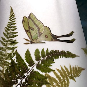 Fern and Luna Moth Botanical Lampshade - Etsy