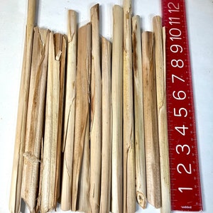 Dried Cattail Stems - Etsy