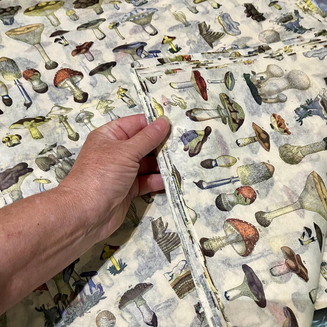 Mushroom Design 12 Large Sheets Recycled Tissue Paper, With Stickers - Etsy