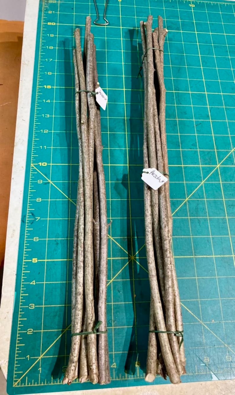 Hazelnut Wood Sticks - Etsy