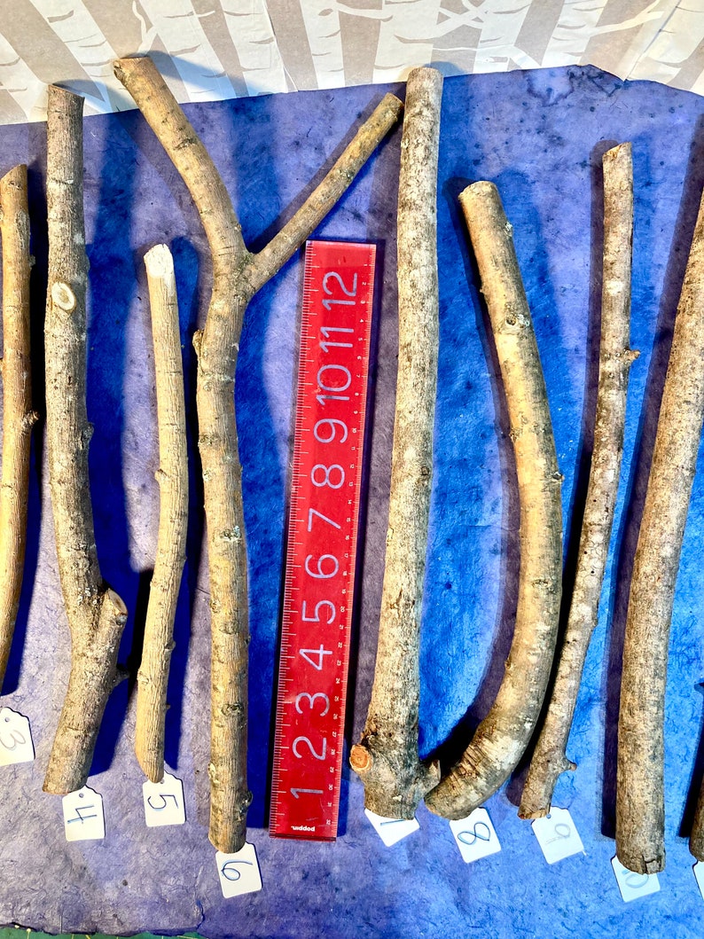 Willow Wand Carving Wood - Etsy