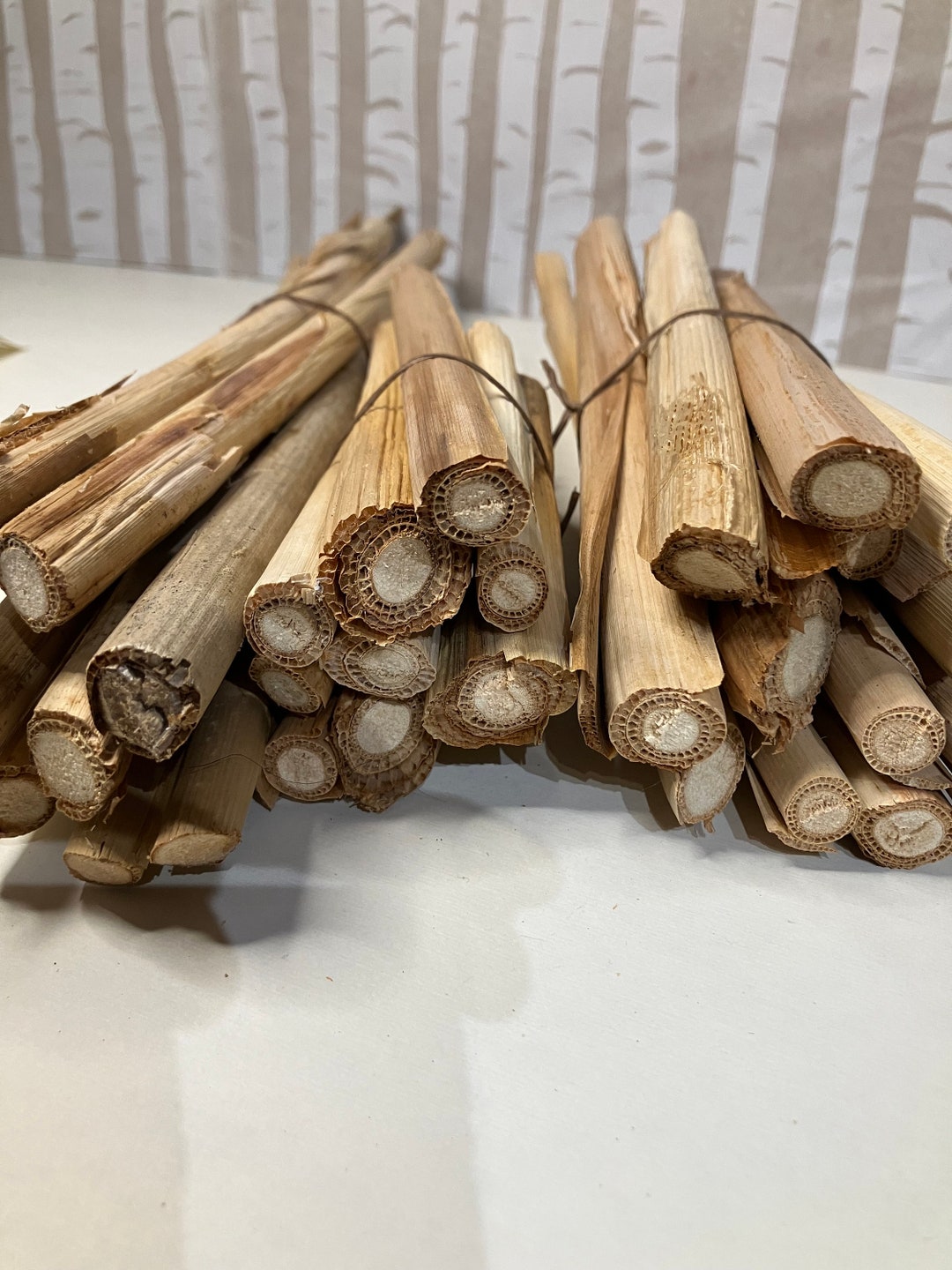 Dried Cattail Stems - Etsy