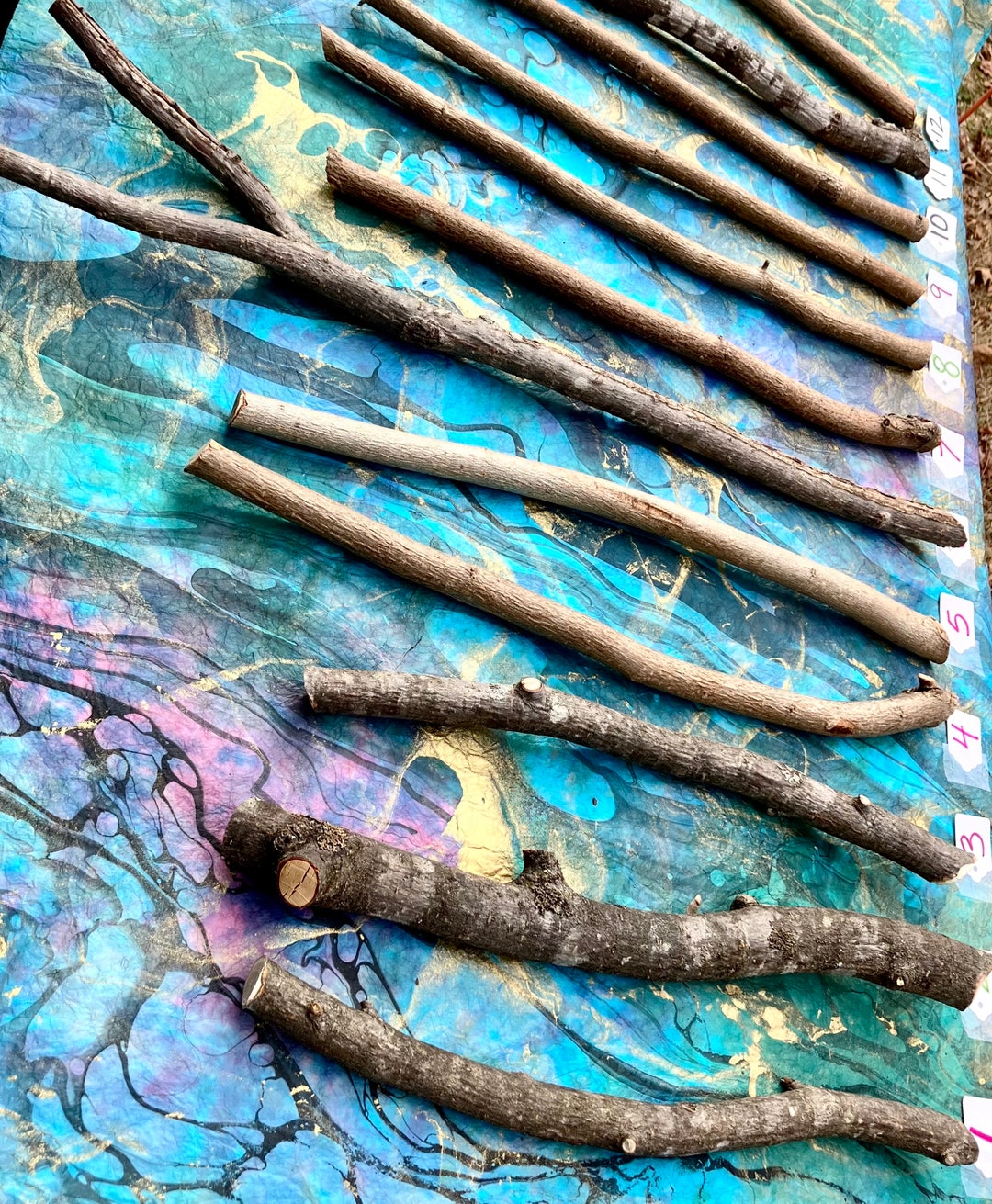 Witch Hazel Wood Sticks, Wand Whittling Wood - Etsy