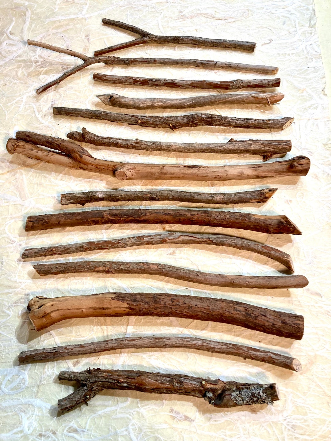 Blueberry Wood Sticks, Wand Carving Wood - Etsy