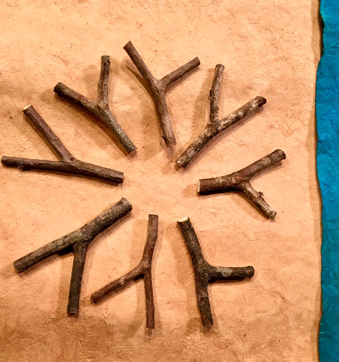 Witch Hazel Twig Forks, 4 Sizes Tiny Forked Sticks - Etsy