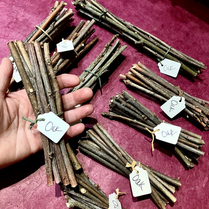 Short Oak Wood Crafting Sticks, Red Oak Stick Bundles - Etsy