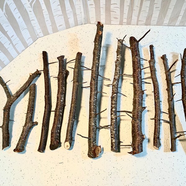 Blackthorn - Etsy