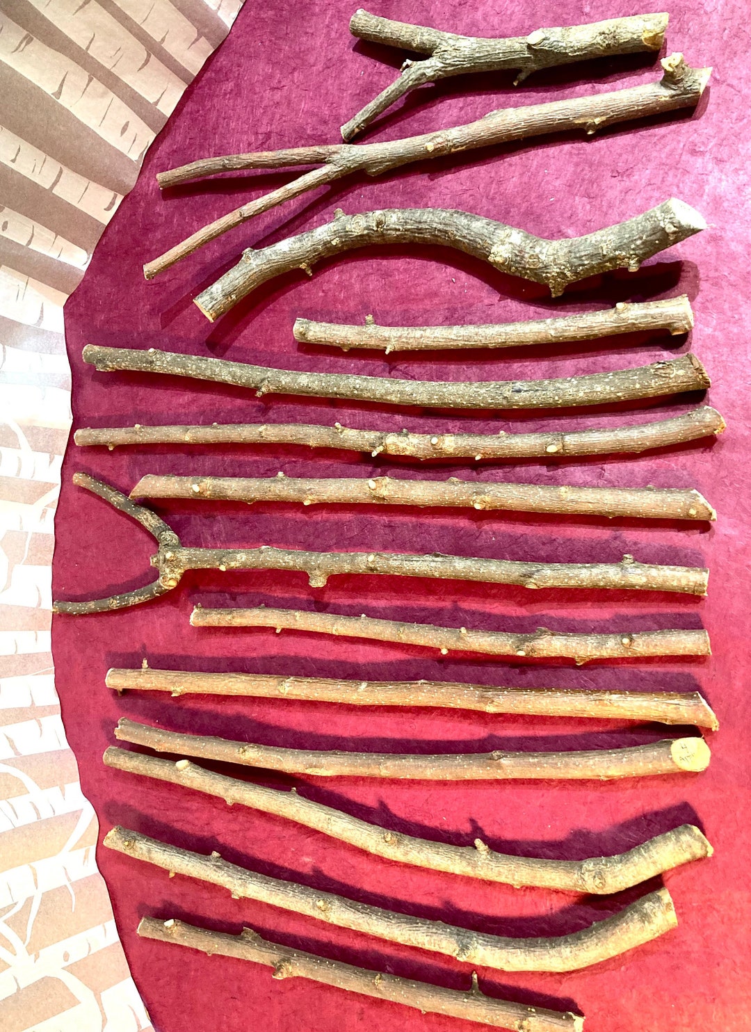 Wild Apple Wand Carving Wood - Etsy