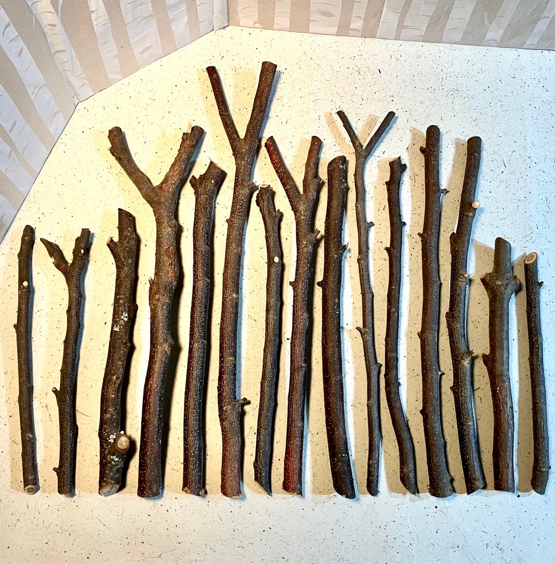 Chestnut Wand Carving Wood - Etsy