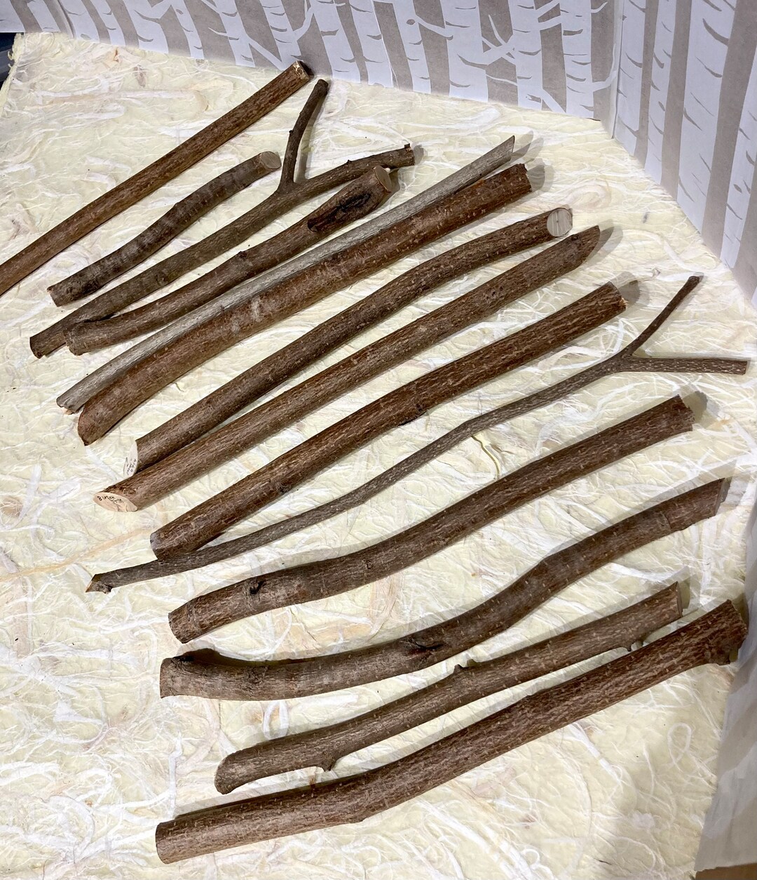 Witch Hazel Wood Sticks Wand Whittling Wood - Etsy