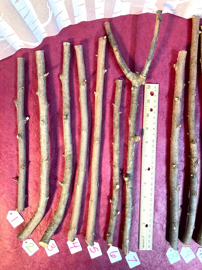 Wild Apple Wand Carving Wood - Etsy