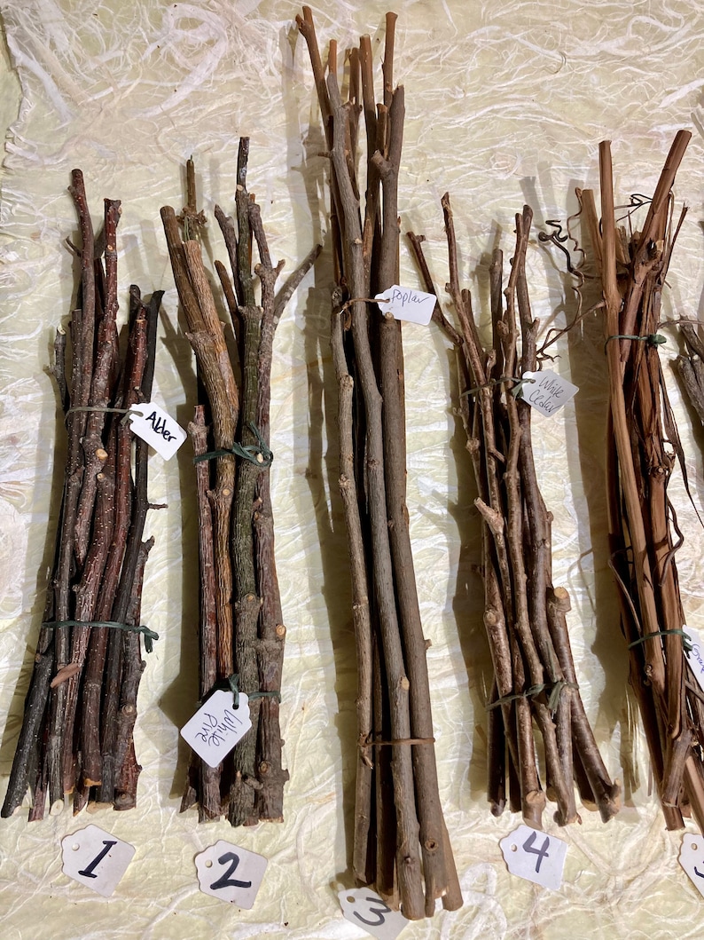 Long Craft Stick Bundles; Pine, Alder, Cedar, Poplar, Witch Hazel ...