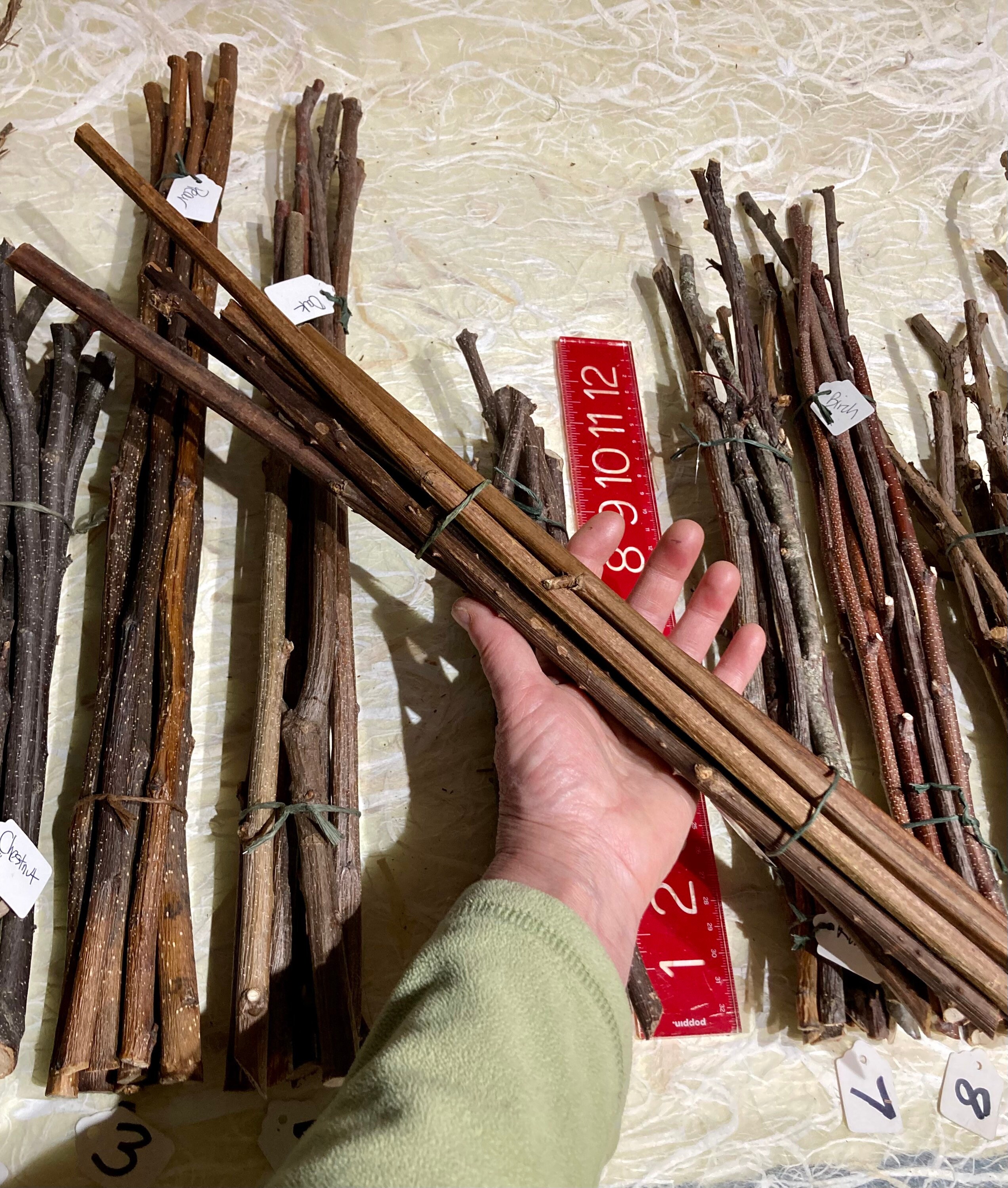 Long Stick Bundles; Blackberry, Birch, Balsam, Rowan, Pear, Oak ...