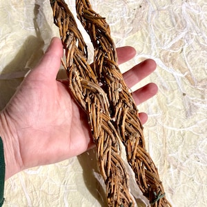 Braided Willow Twigs, Willow Wood Sticks - Etsy